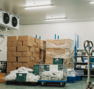 Expert Cold Chain Packaging Consultants | BoldtSmith