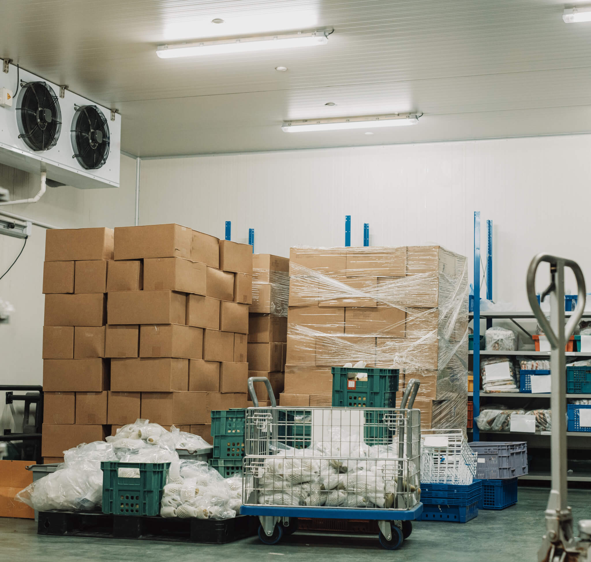 Expert Cold Chain Packaging Consultants | BoldtSmith